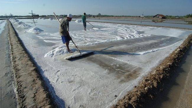 Usut Dugaan Korupsi Impor Garam, Kejagung Periksa Direktur PT Bumi Menara Internusa